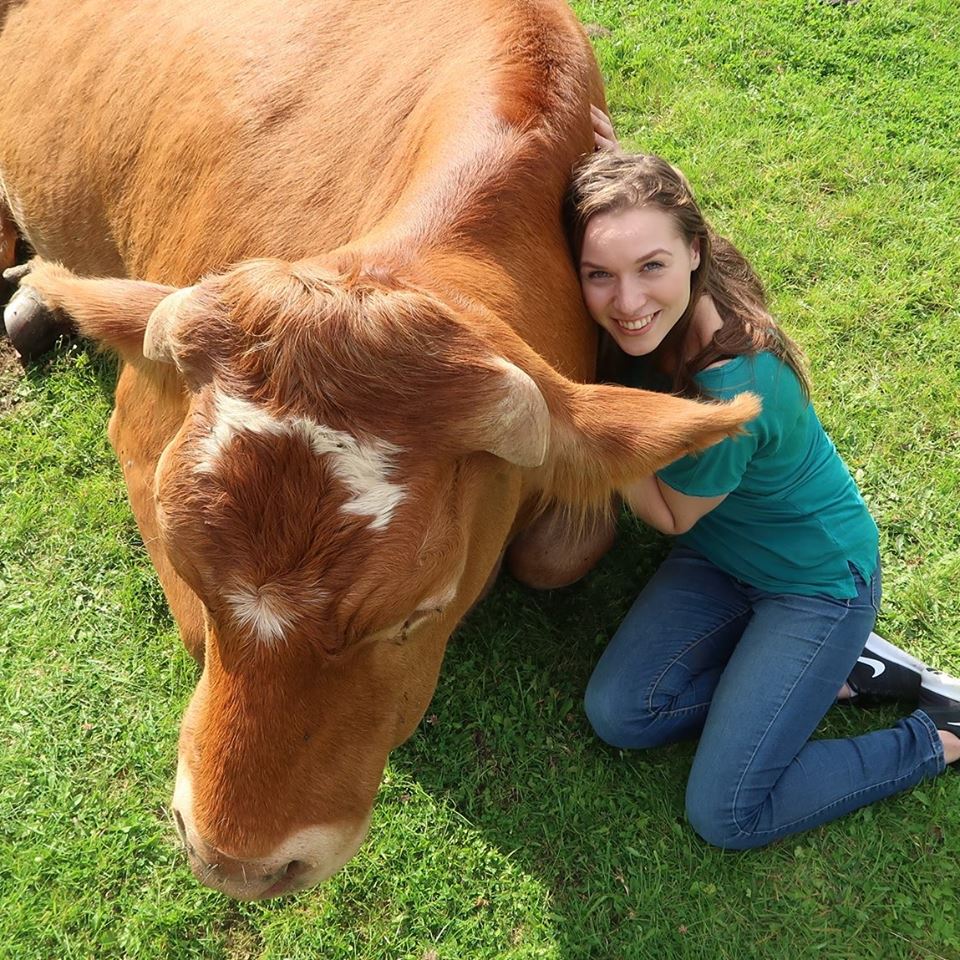 Wie zijn wij? - VeganChallenge